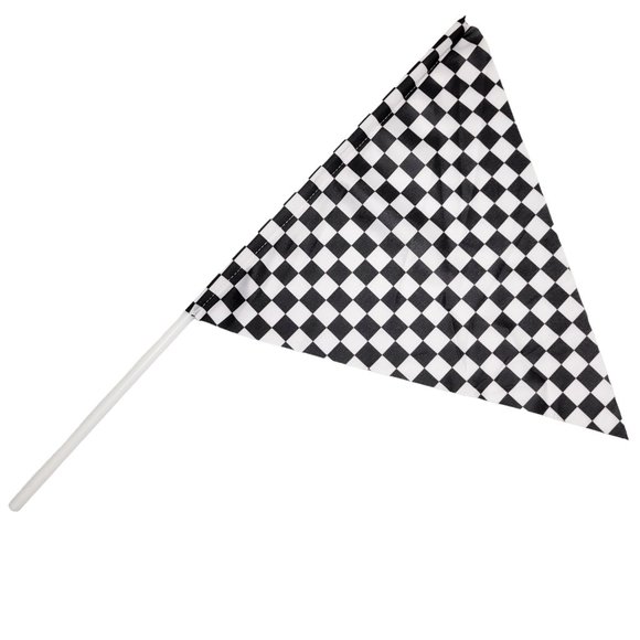 FP-996400 | Accessories | Checkered Flag Costume Accessory | Poshmark